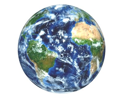 | David WinfreeDavid Winfree